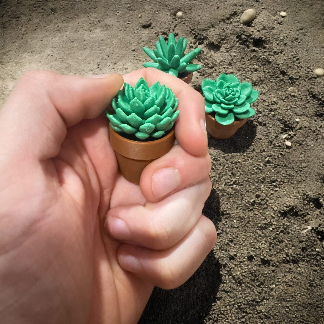 Mini Succulent Fidget Spinner Set – 3-pack of Plant-themed Sensory ...