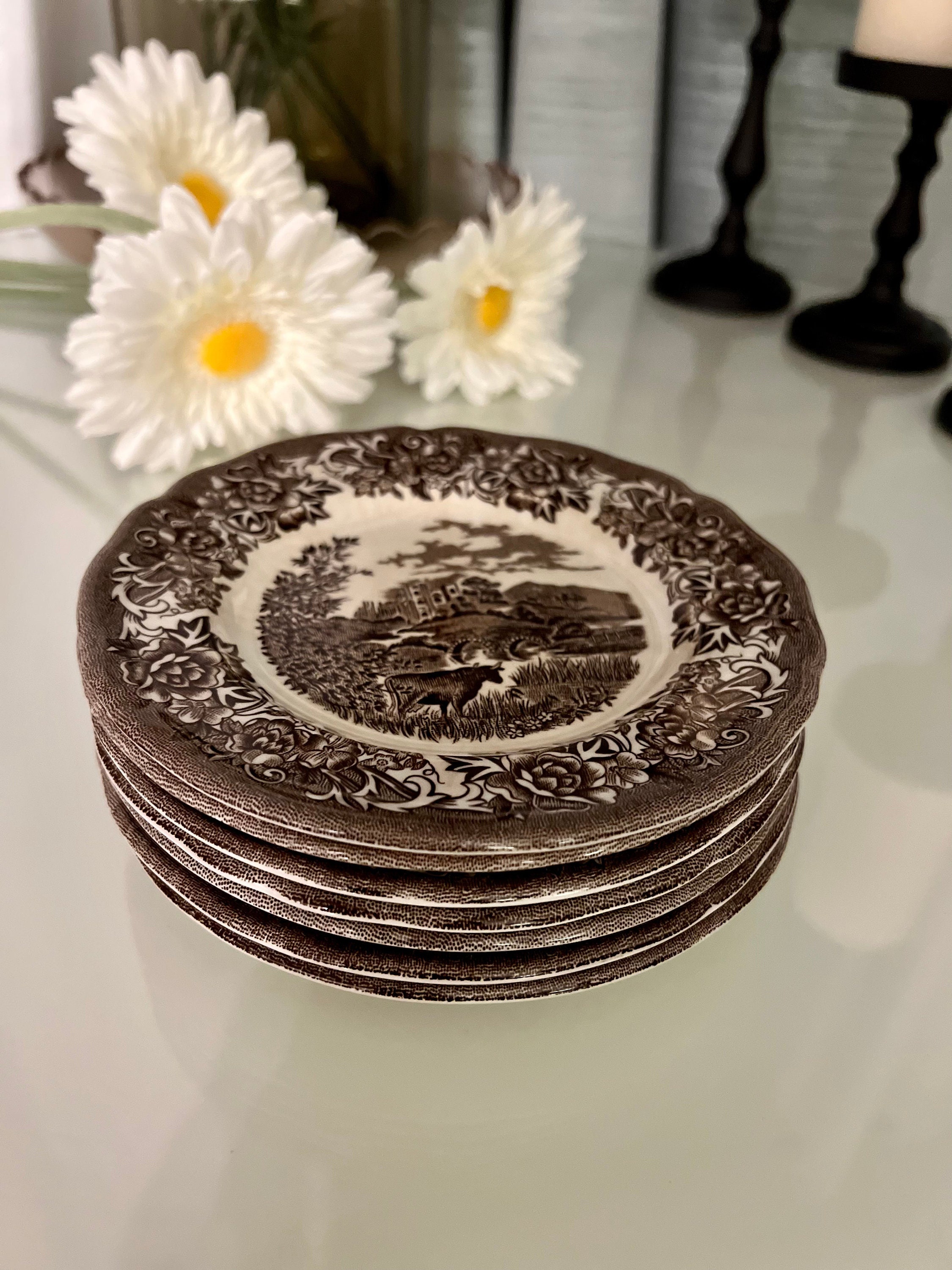 7 Jandg Meakin Royal Staffordshire Romantic England Brown Ironstone Bread