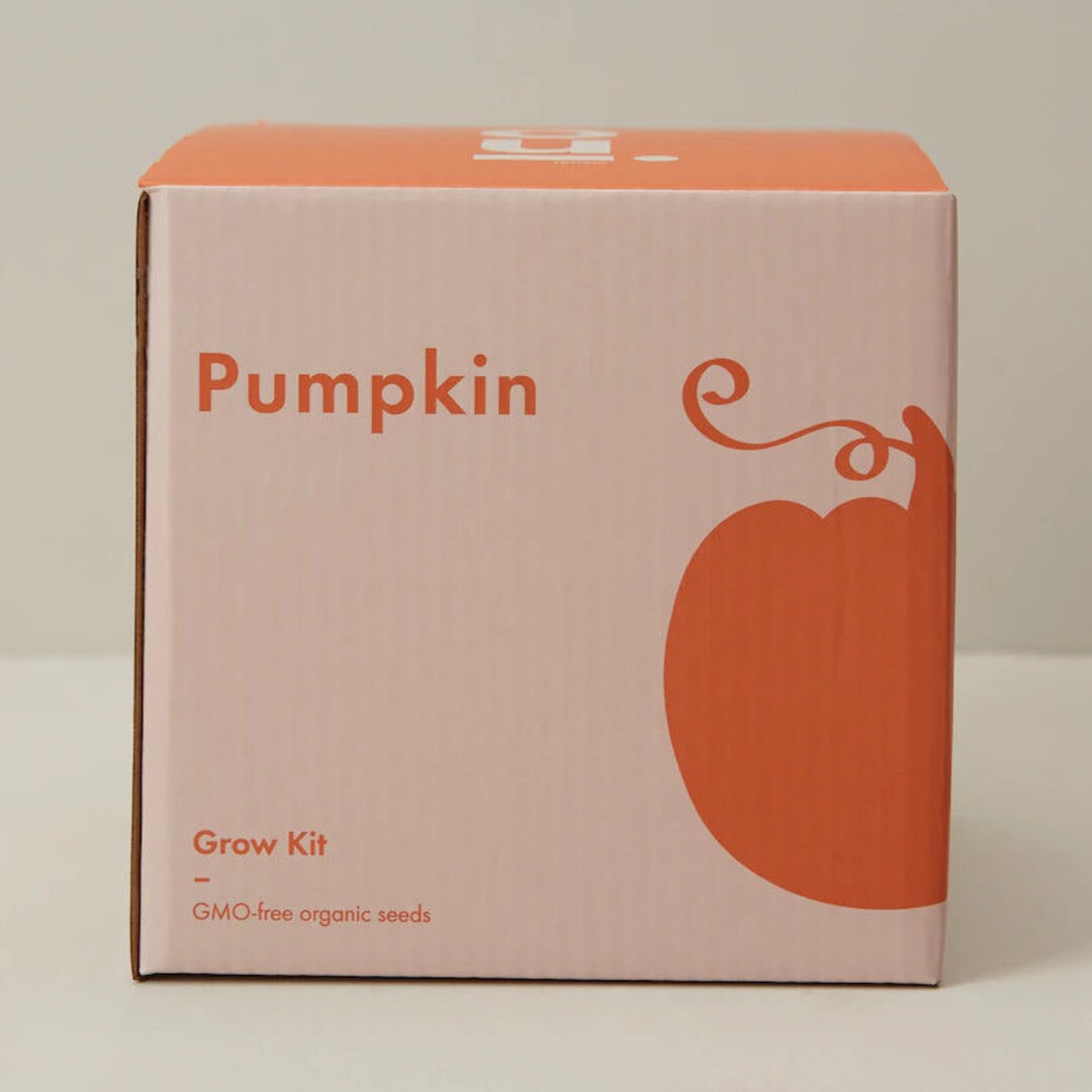 Indoor Mini Pumpkin Grow Kit - Etsy