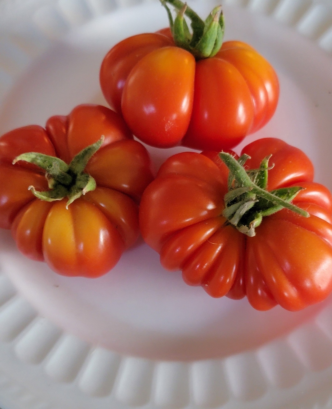 Tomato Seeds- Rosso Sicilian Heirloom Non-gmo US Grown Open Pollinated ...