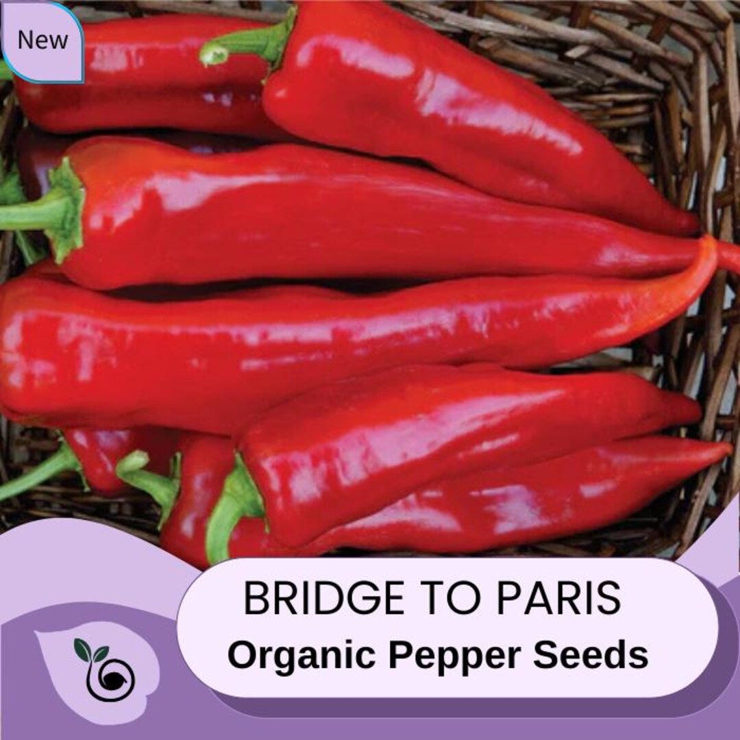 Organic Pepper Seeds Bridge to Paris - Etsy