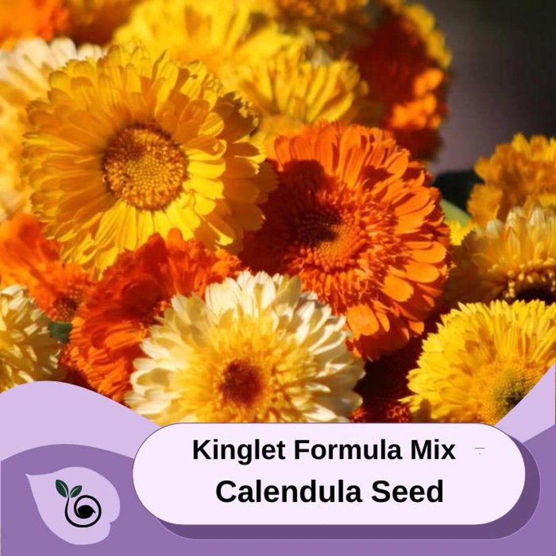 Calendula Seeds Kinglet Formula Mix Seed - Etsy