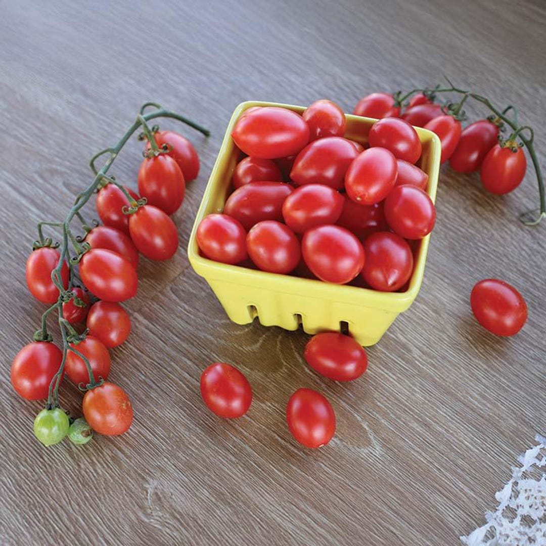 Organic Tomato Seeds Tropical Sunset Heirloom Open Pollinated USA ...