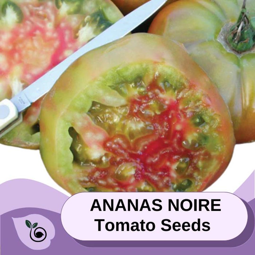 Ananas Noire Tomato Seeds - Etsy