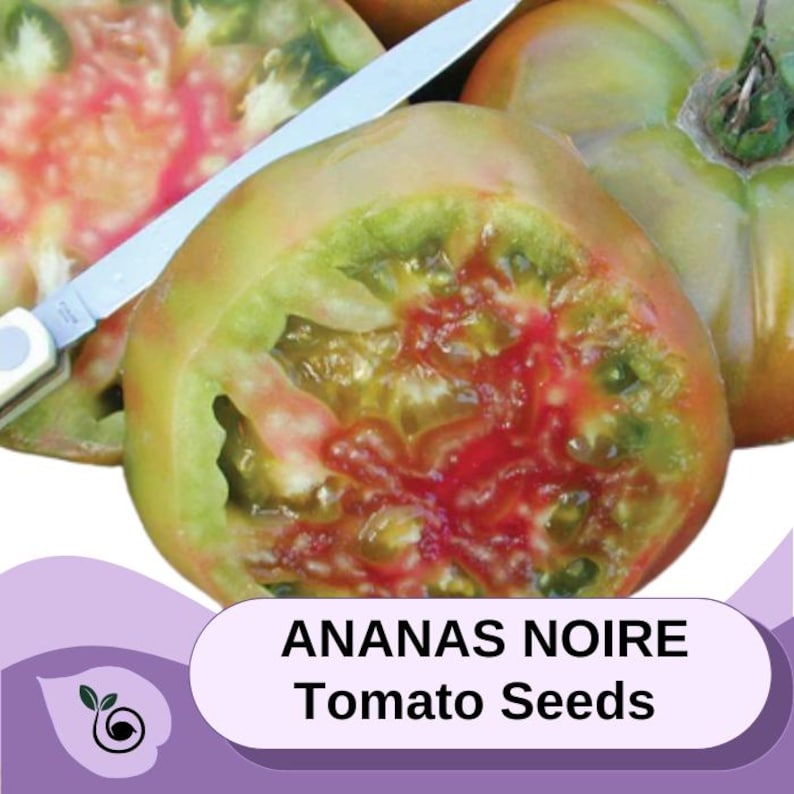 Ananas Noire Tomato Seeds - Etsy