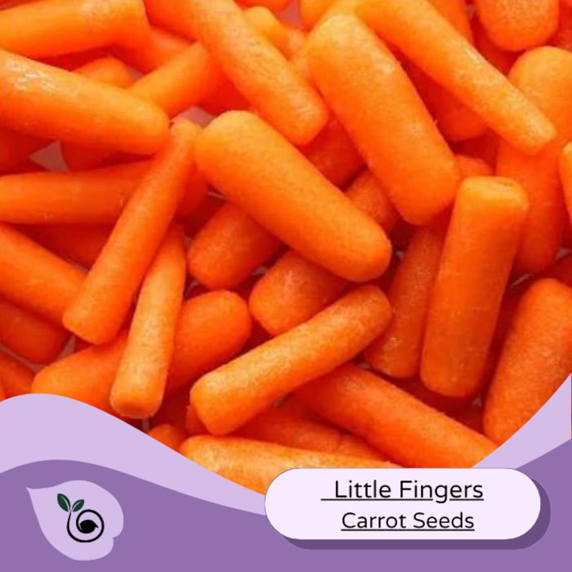 Little Fingers Carrot Seeds - Etsy