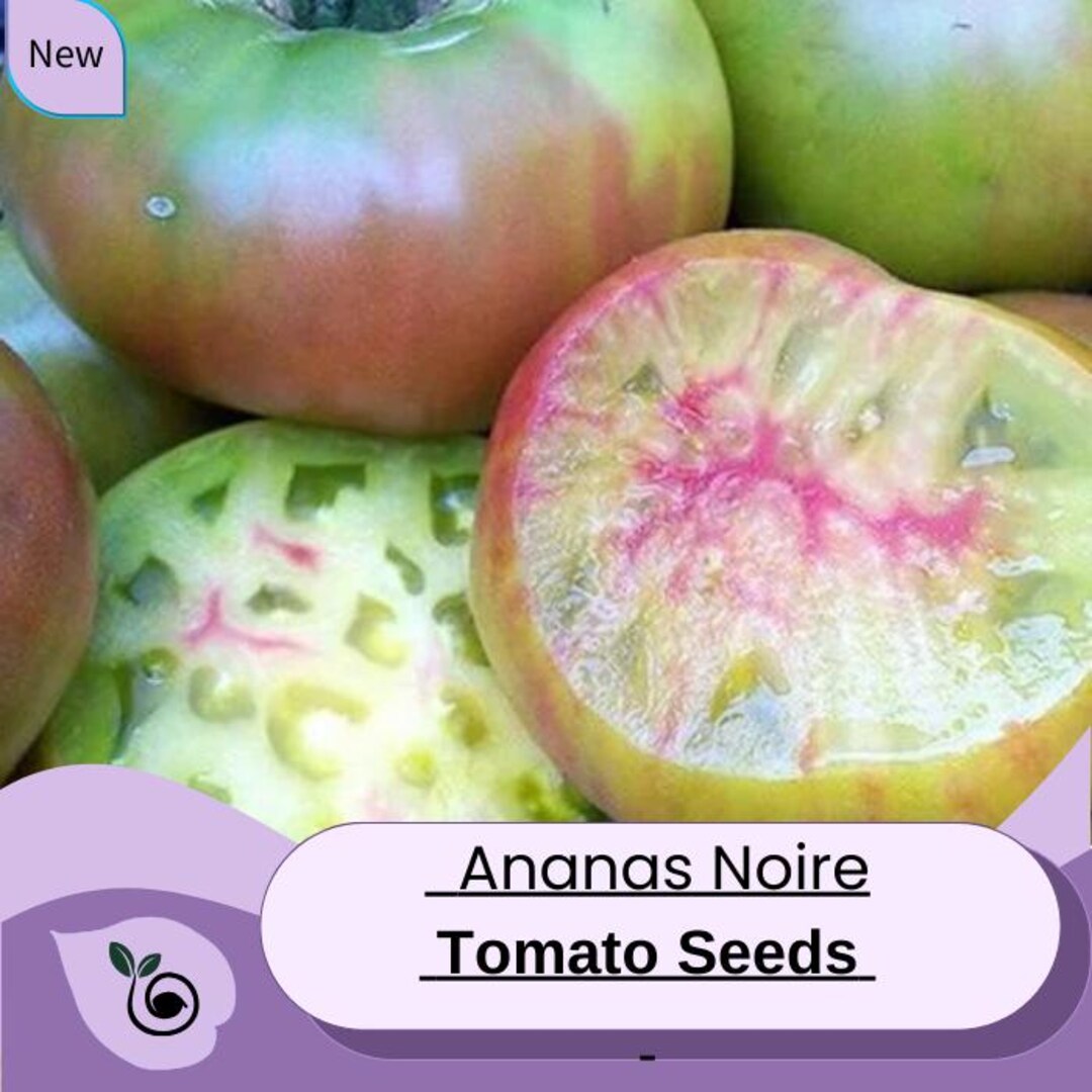 Organic Ananas Noire Tomato Seeds Premium Non-gmo, Open Pollinated, USA ...