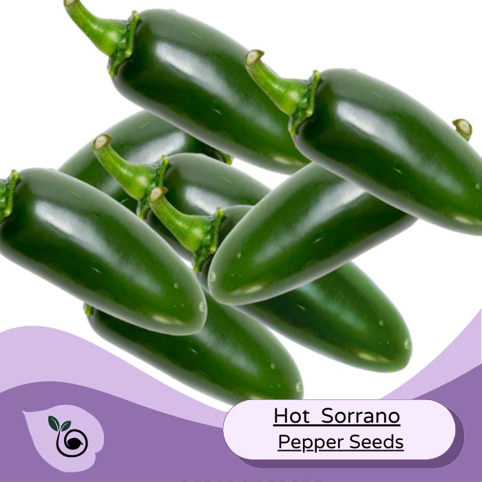 Pepper Seeds - Sorrano Pepper Seeds - Etsy