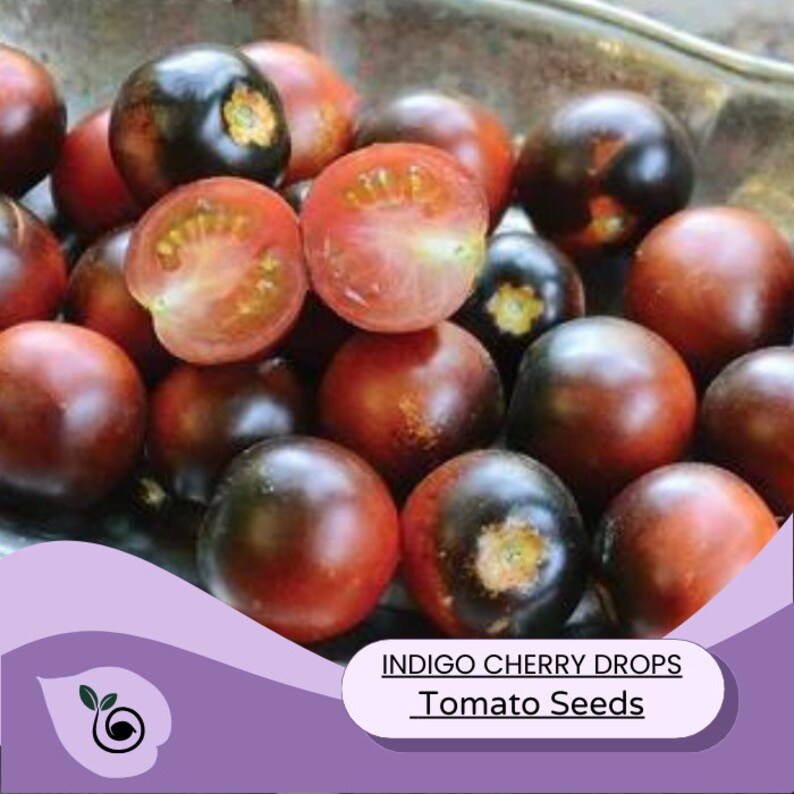CHERRY DROPS Tomato Seeds - Etsy