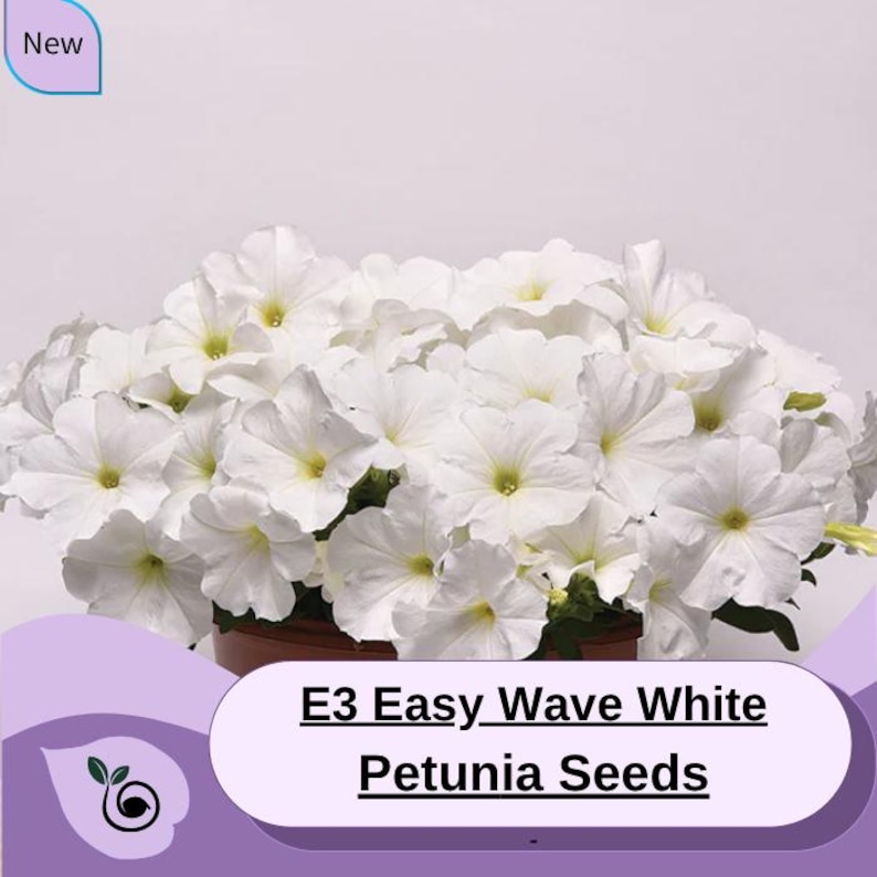 Petunia E3 Easy Wave White Seeds - Etsy