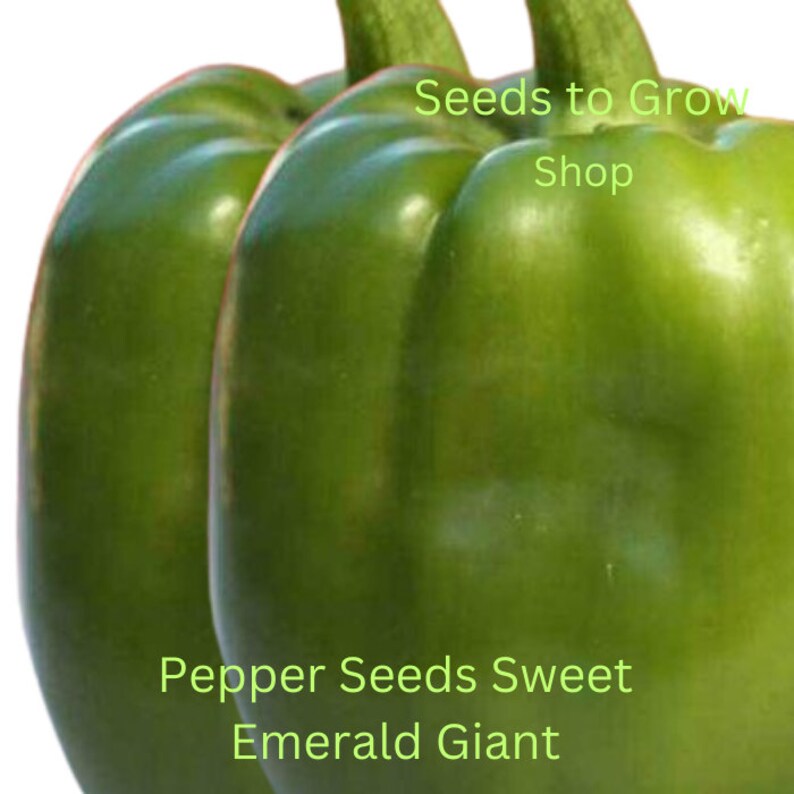 Pepper Seeds Sweet Emerald Giant - Etsy