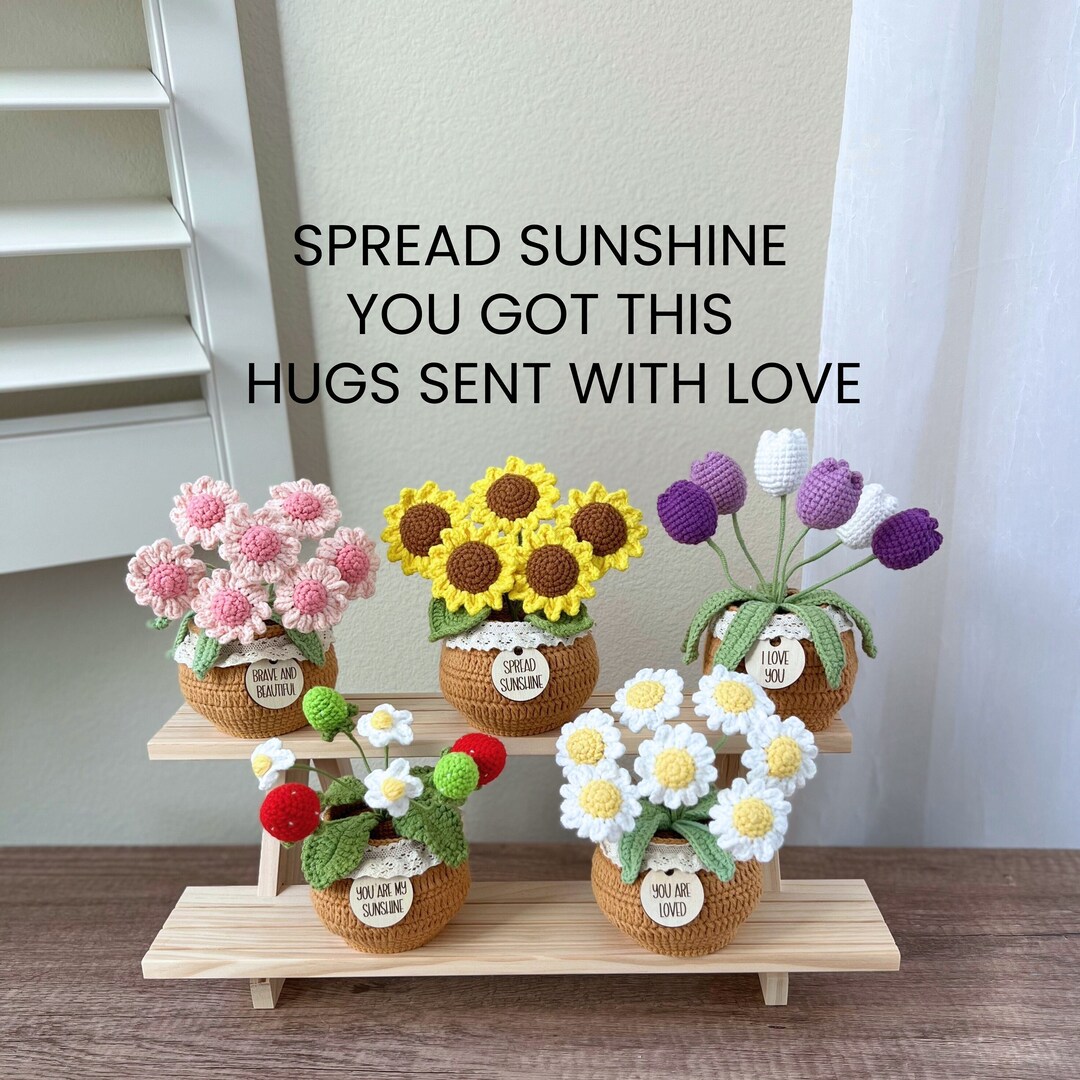 Emotional Support Plant Gift, Encouragement Gift, Encouraging Gift ...