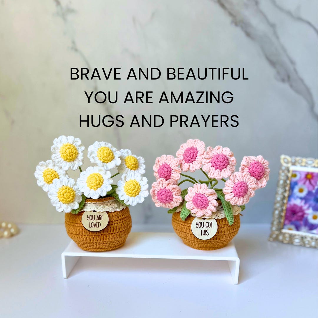 Emotional Support Plant Gift, Crochet Flower Handmade, Encouragement ...