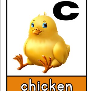 Animal Alphabet Adventure: Flipbook Flashcards for Kids - Etsy