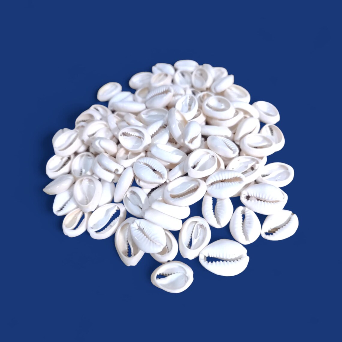 100pcs Half Cut White Cowrie Shell Beads for DIY Jewelry Making Large ...
