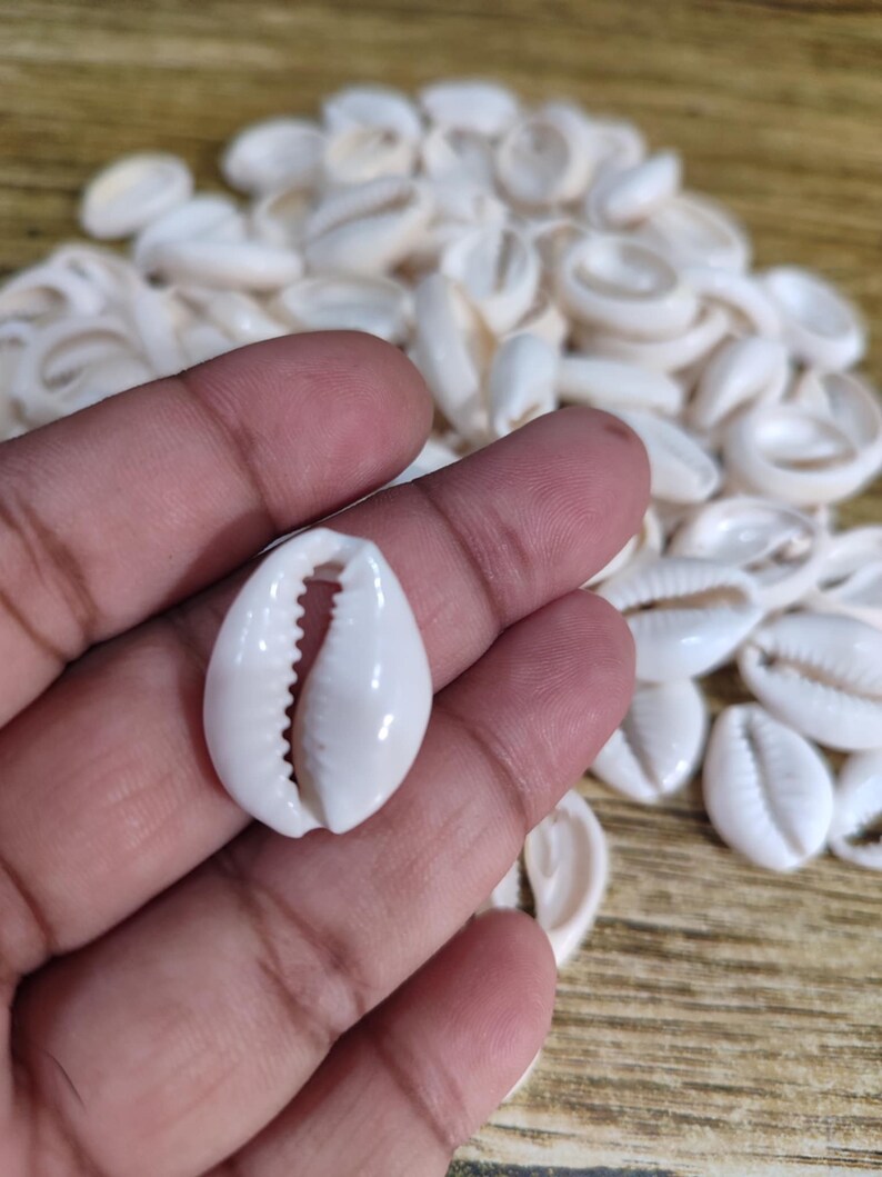 100pcs Half Cut White Cowrie Shell Beads for DIY Jewelry Making Large ...