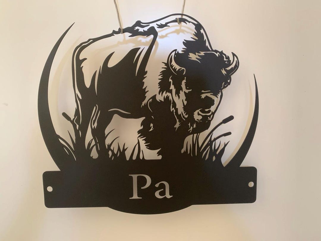Custom Bison Metal Wall Art, Personalized Bison Metal Name Sign, Bison ...