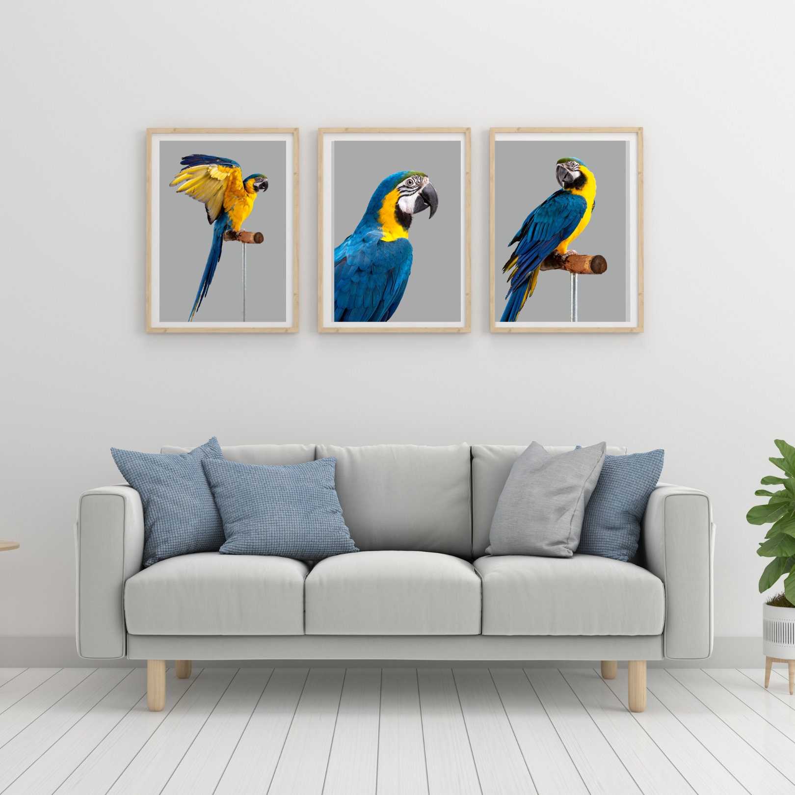 Macaw Parrot Original Digital Wall Art, Blue Gold Parrot Portrait ...