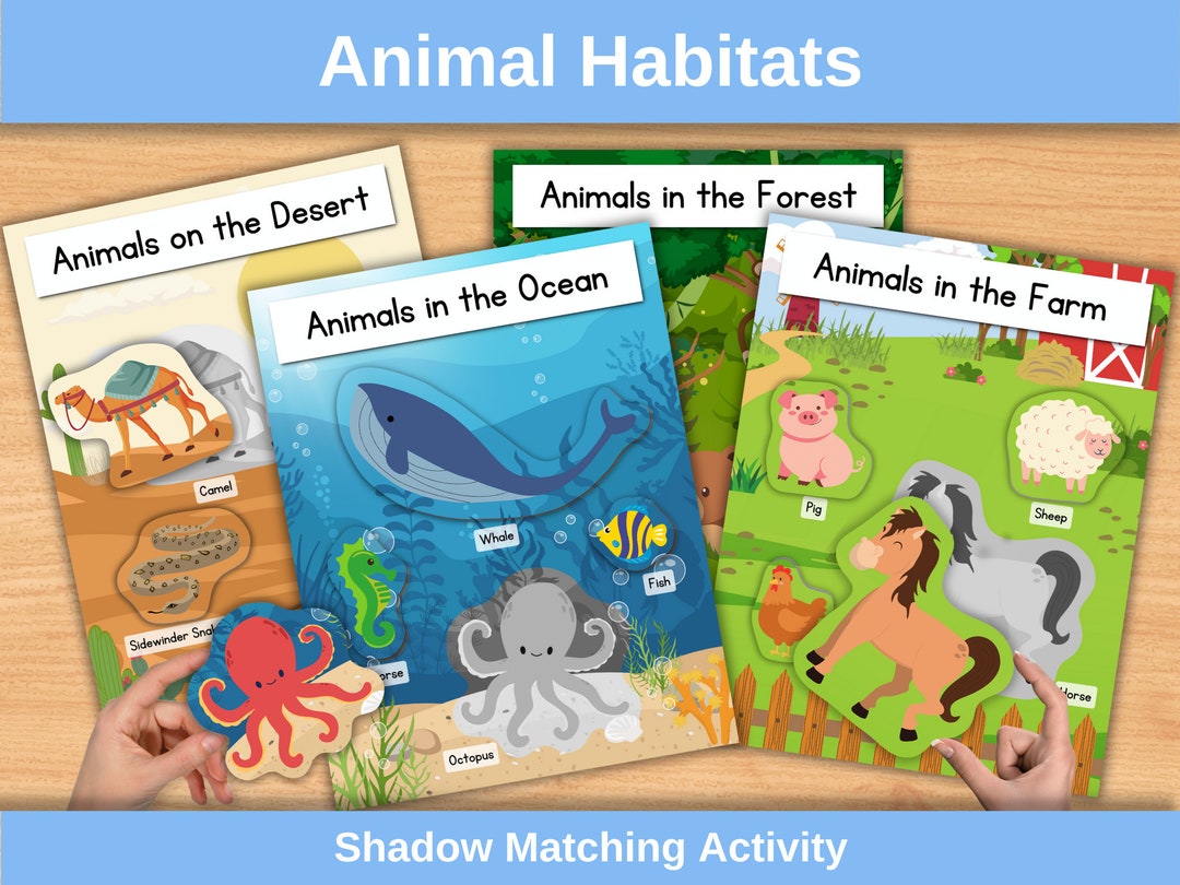 Animal Habitats, Preschool Homeschool, Kids Activity Book, Shadow ...