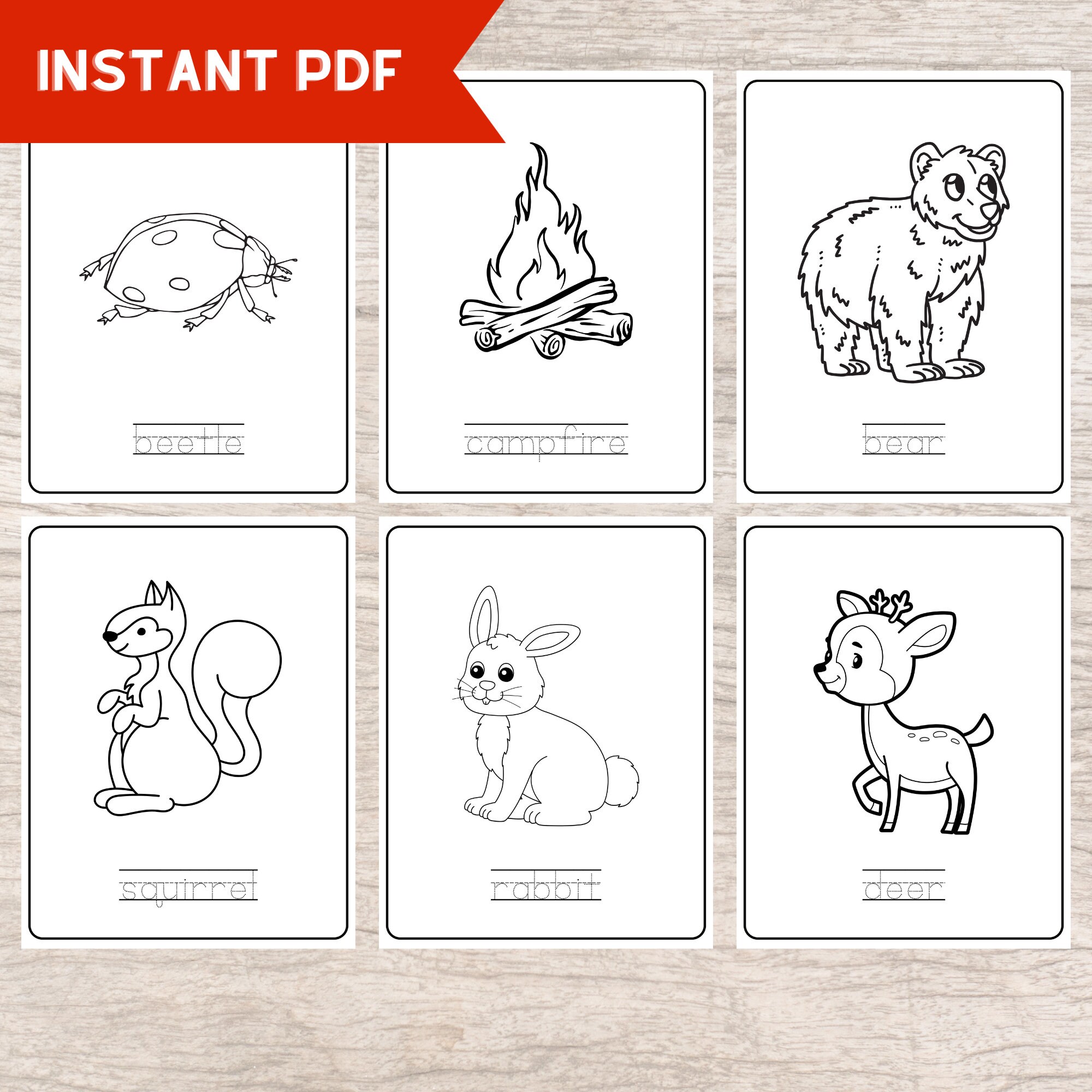 Ultimate Educational Nature Coloring Set Farm, Ocean, Forest, Safari ...