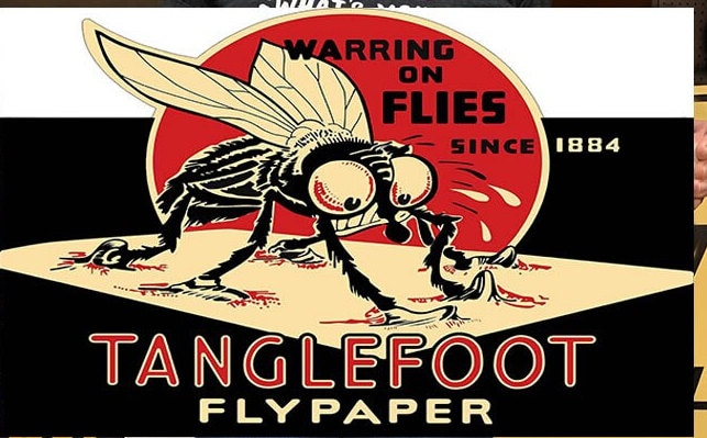 Tanglefoot Sign Large 24in Flypaper - Etsy