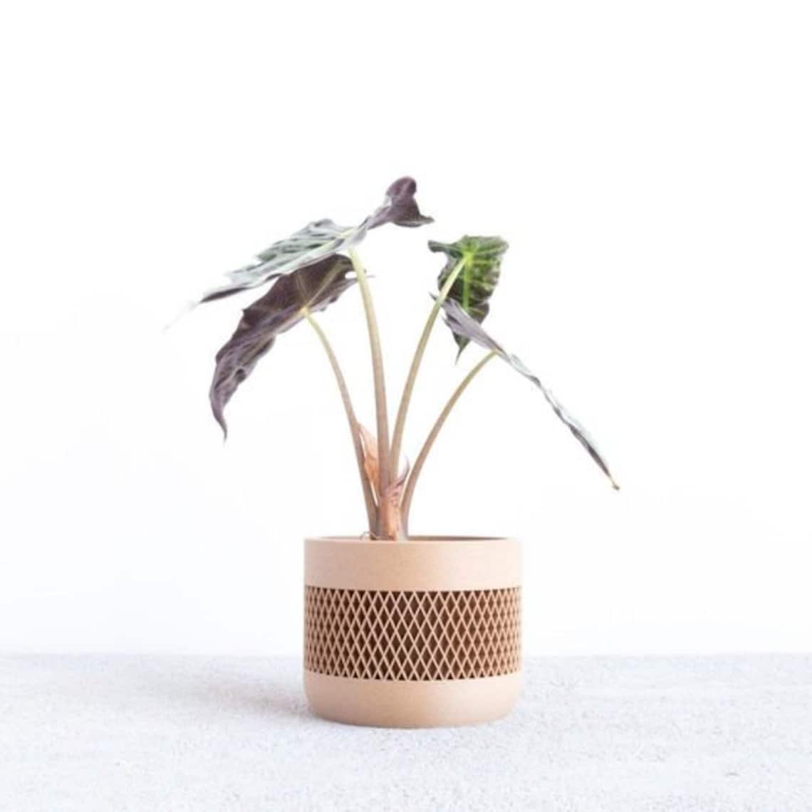 Indoor Plant Pot,original Planter Gift for Plant Lovers,stl File, 3D ...