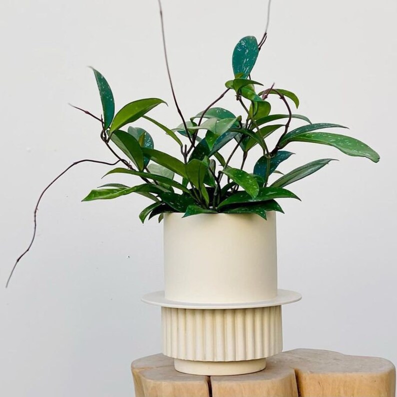 Modern 3D Printer Flower Pot STL striped Tabletop Vase Model, Home ...