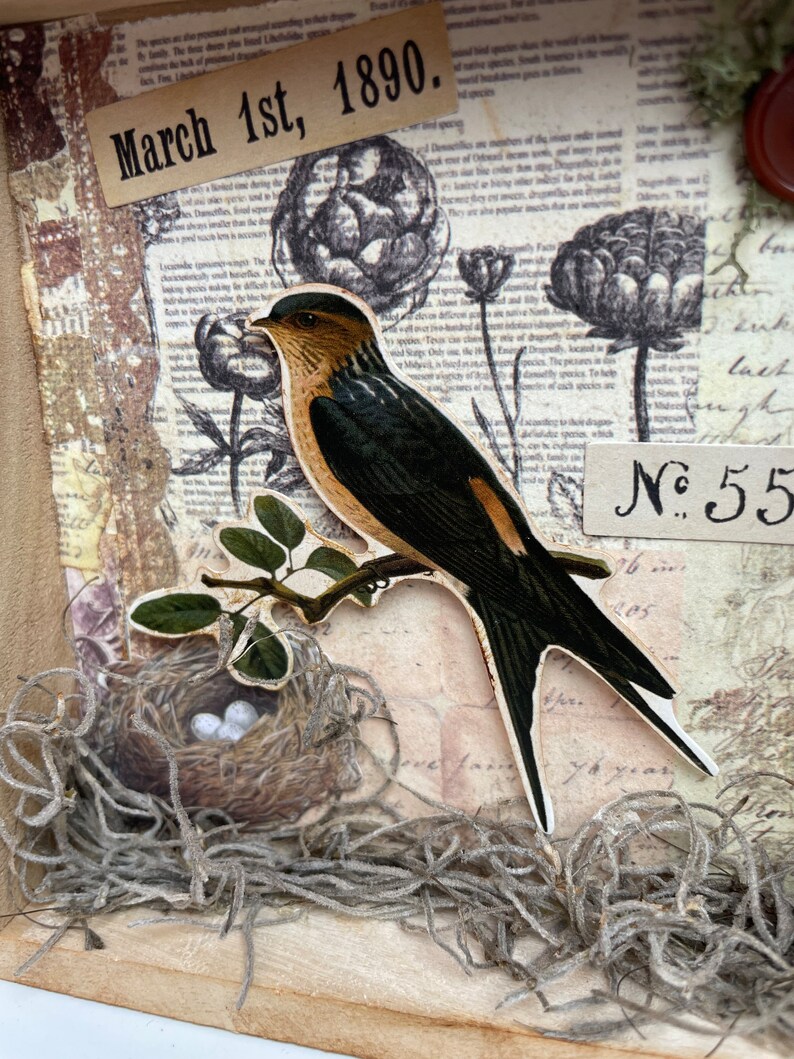 Sparrow-tailed Bird and Nest, Diorama Shadow Box 5x5. Nature Inspired ...