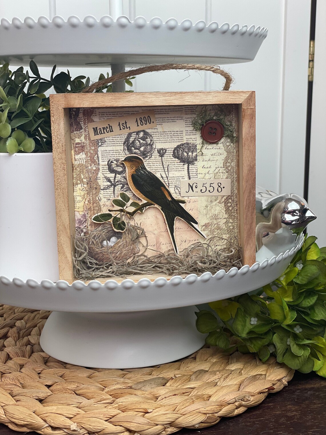 Sparrow-tailed Bird and Nest, Diorama Shadow Box 5x5. Nature Inspired ...