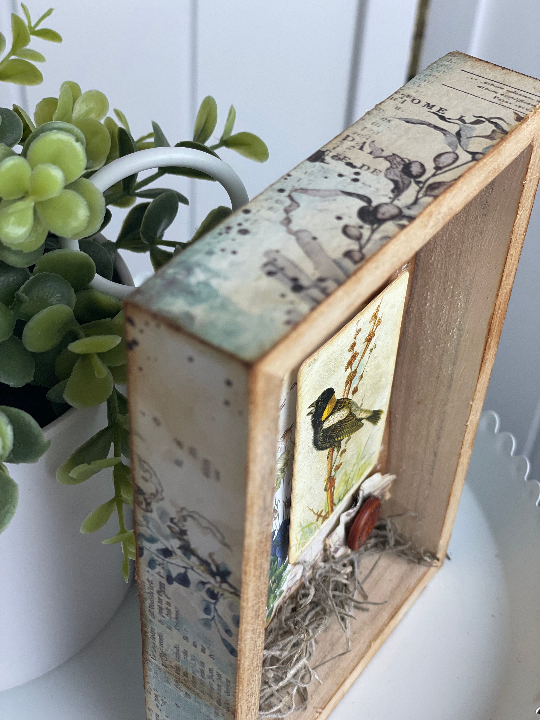 Hotel Burgundy 4x6 and Go Outside 5x5 Diorama Shadow Boxes. Nature ...