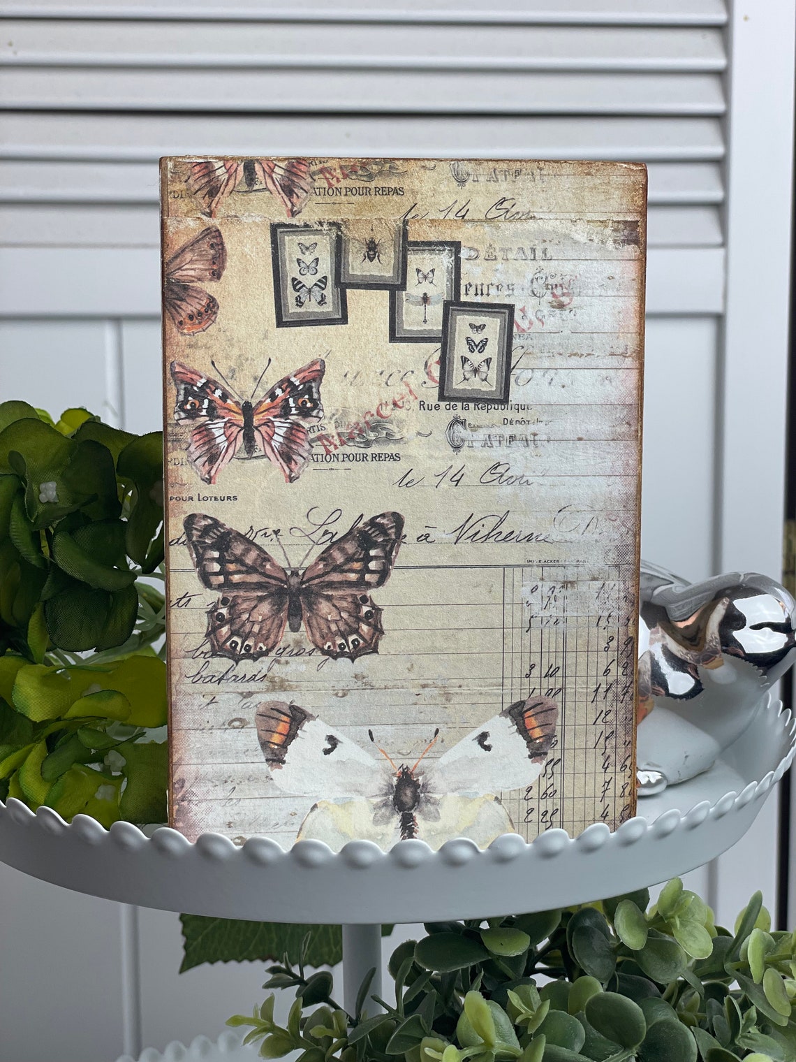 Red Bird & the Teacup 4x6 Diorama Shadow Box. Nature Inspired. Woodland ...