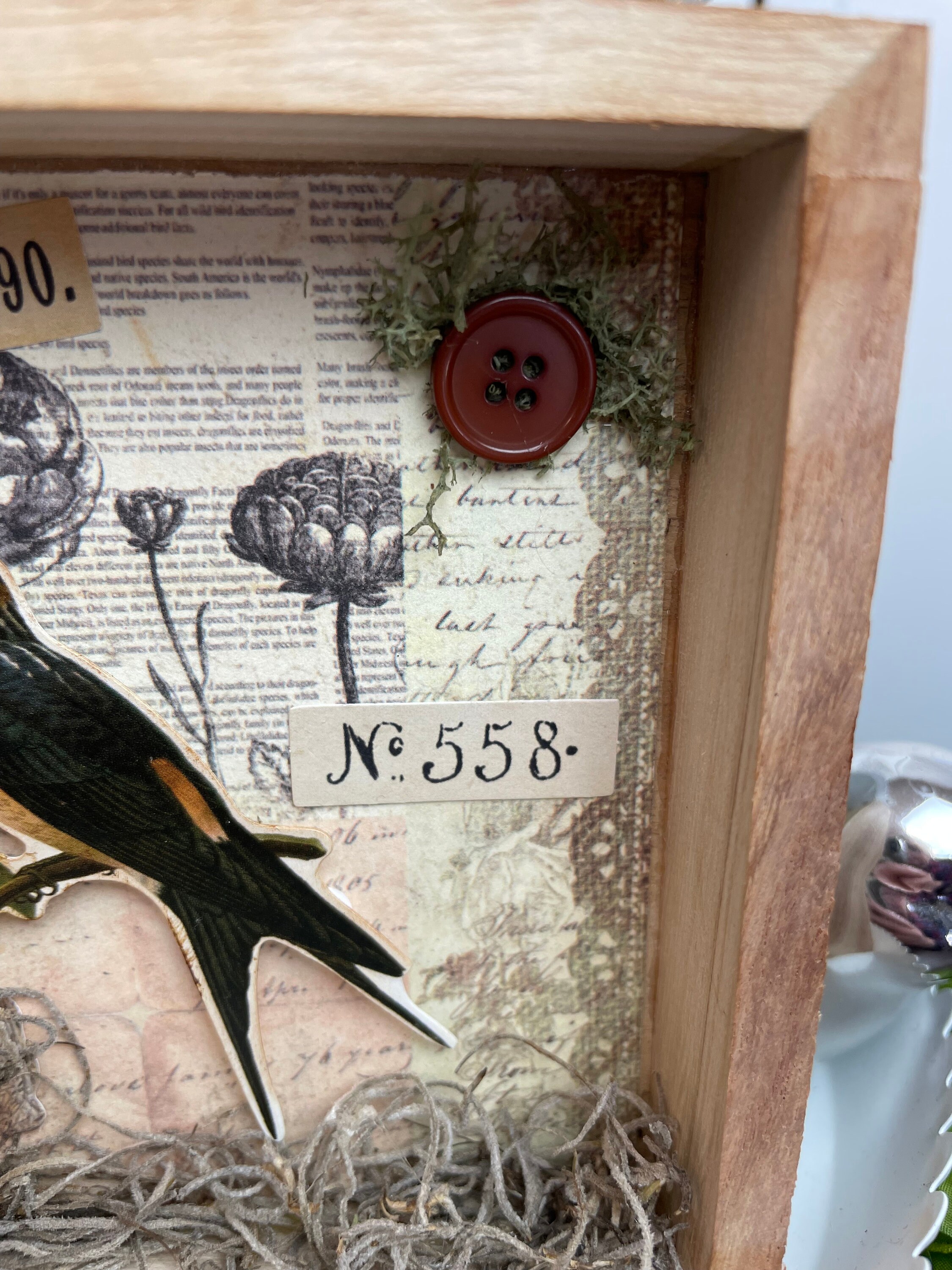 Sparrow-tailed Bird and Nest, Diorama Shadow Box 5x5. Nature Inspired ...