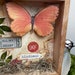 Kindness, Diorama Shadow Box With 3D Butterfly 5x5. Nature Inspired ...