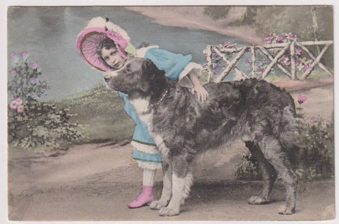 Cute Edwardian Child Girl With Big Dog Antique French Real Photo Tinted ...
