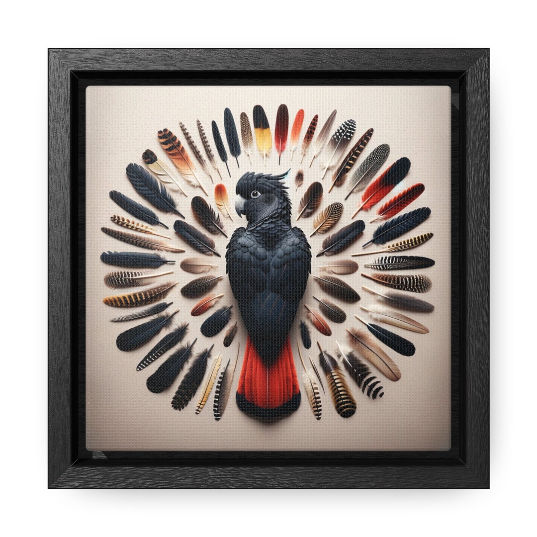 Red-tailed Black Cockatoo and Feather Collection Square - Etsy