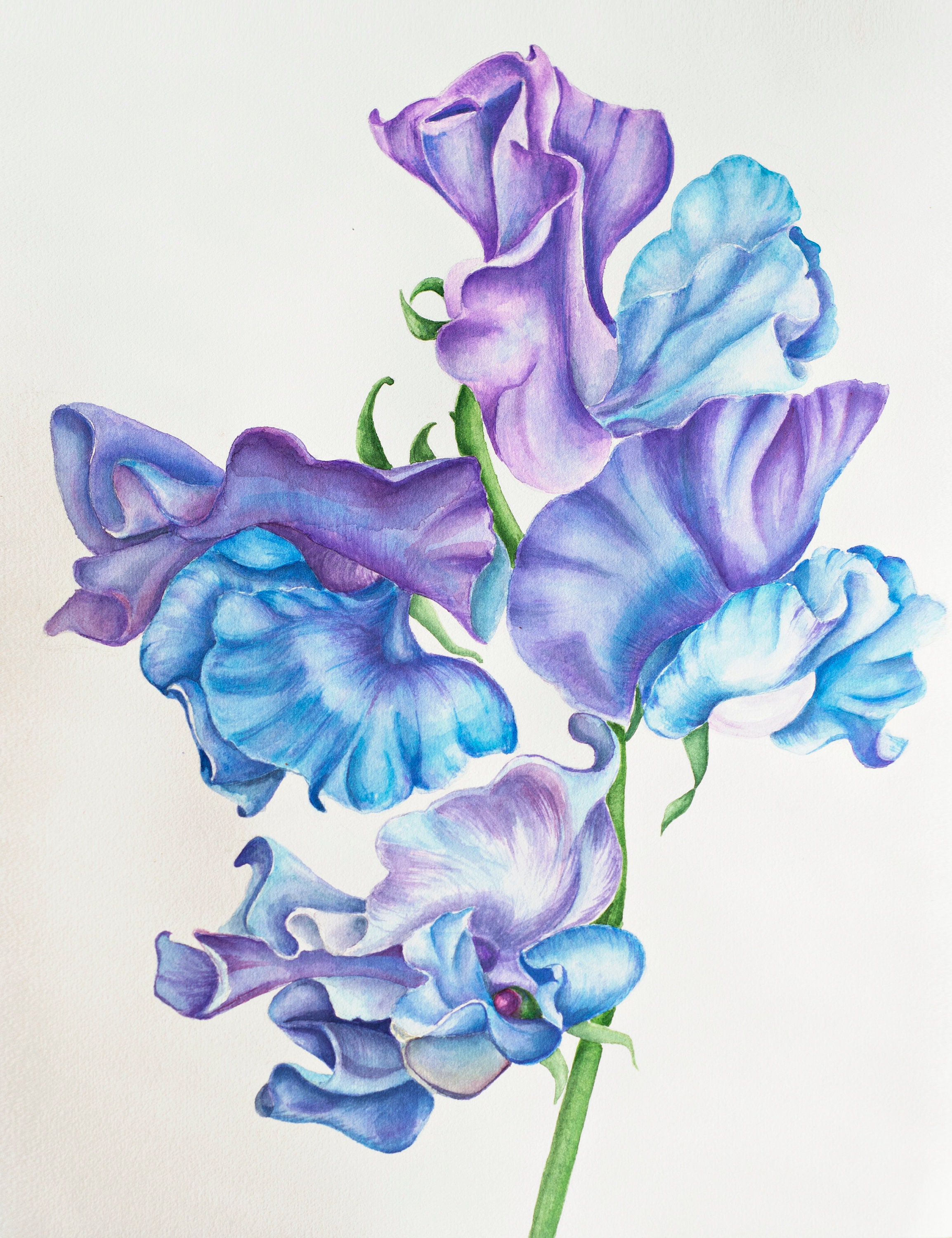 Blue Flowers in Watercolor Original Large Watercolor Floral Painting ...