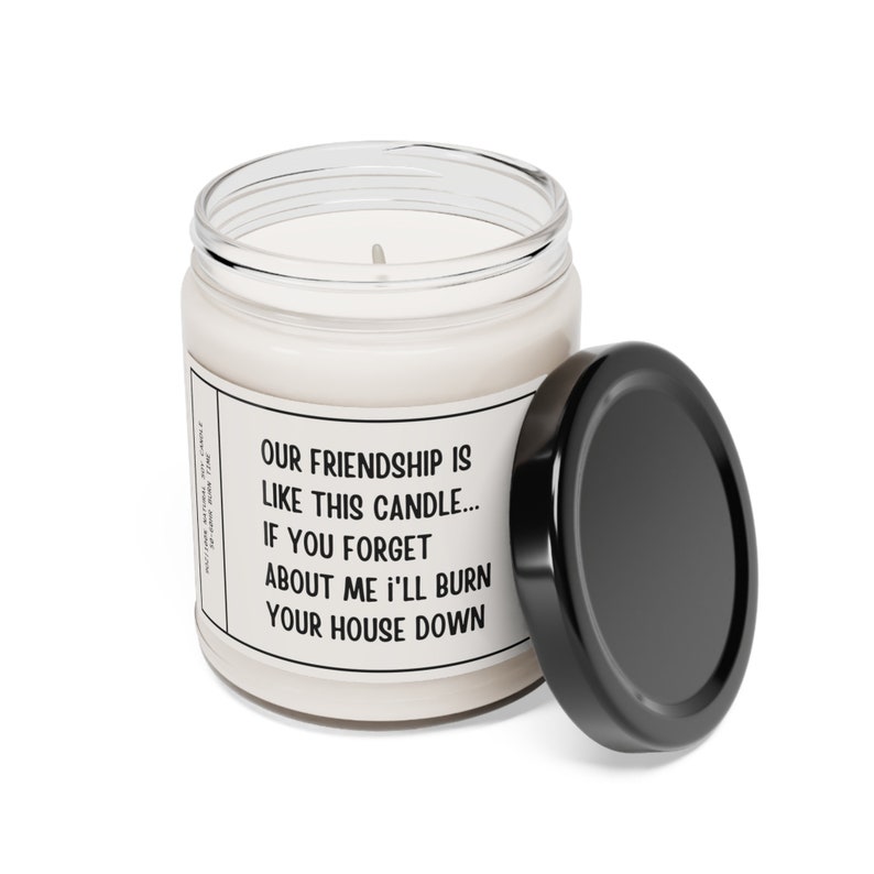 Friendship Candle, Best Friend Gift, Friendship Gift, Our Friendship is ...