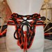 Shibarbi Girl Hip Harness Shibari Style Ropekini Hishi Karada Bikini ...