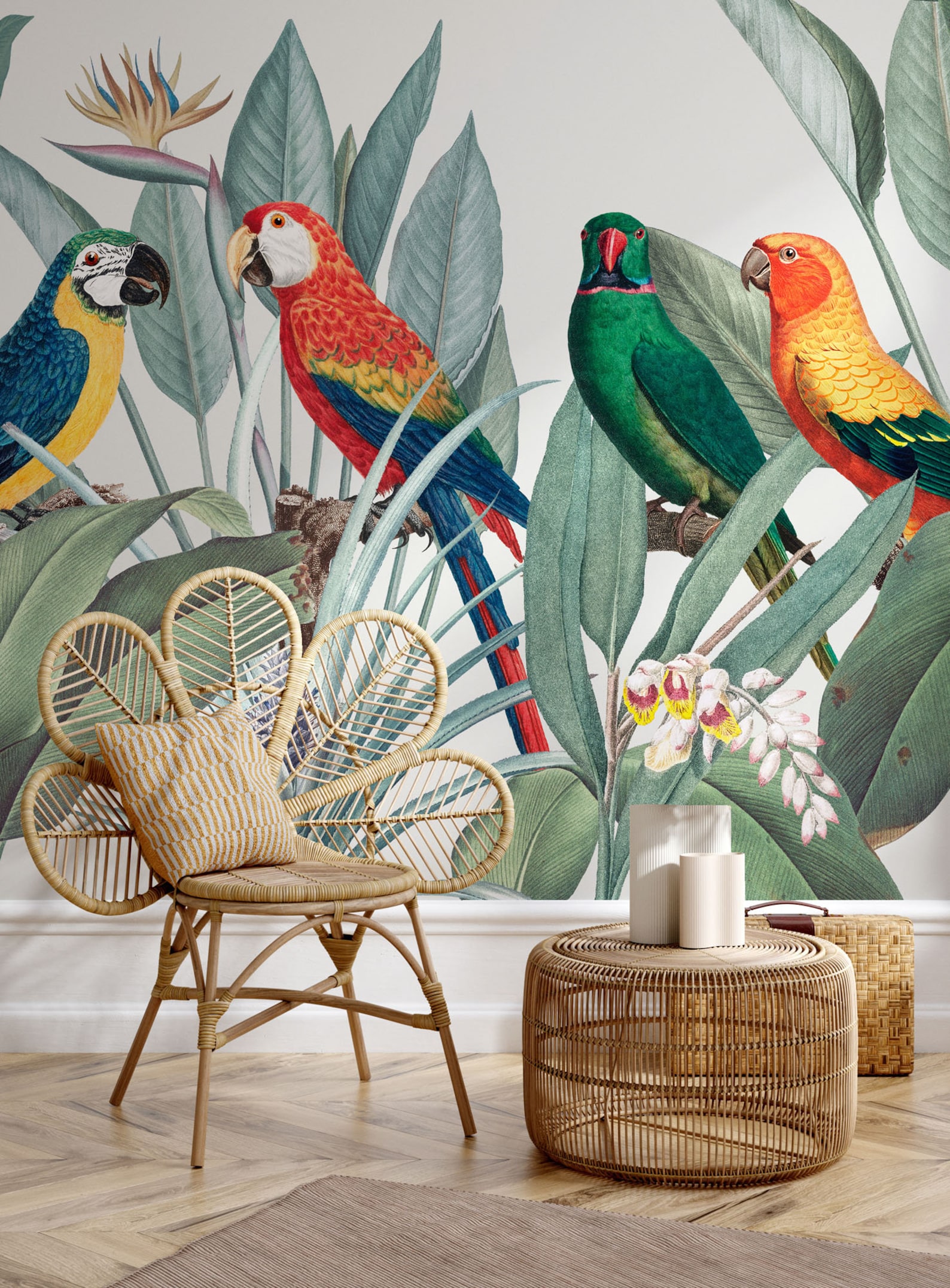 Colorful Parrots Tropical Wallpaper | Tropical Wall Decor | Home ...