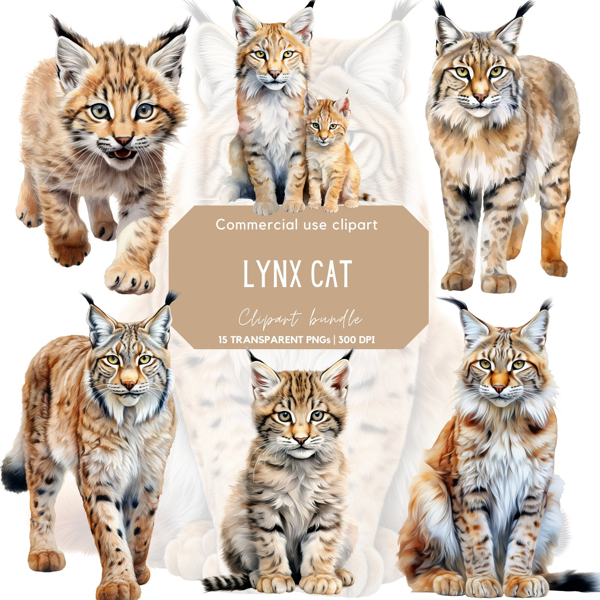 Realistic Watercolor Lynx Clipart Lynx Sublimation Lynx Illustration Wildlife Clipart Woodland ...