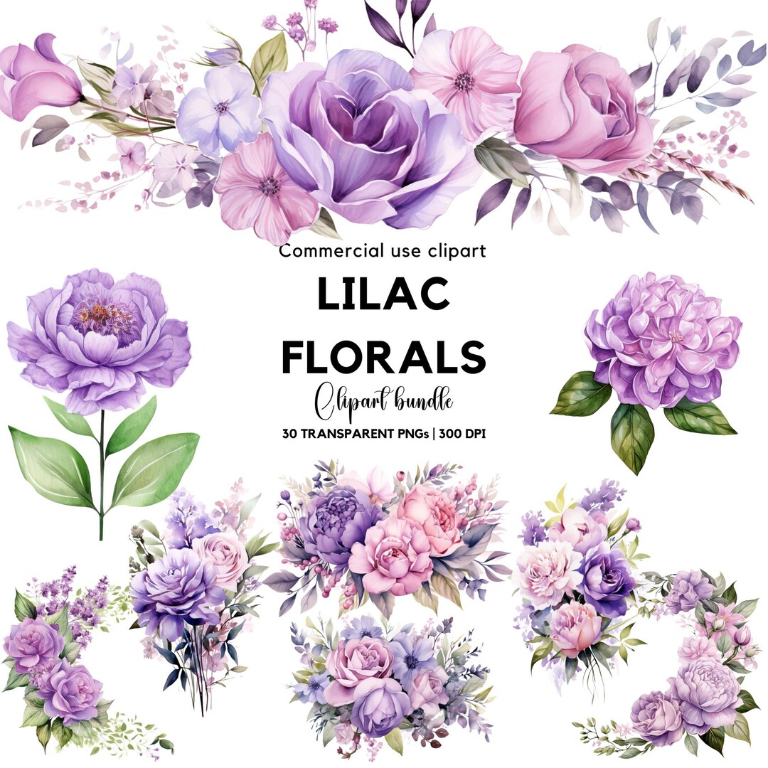 Lilac Floral Clipart | Lilac Flower | Lilac Bouquet | Purple Flower Png ...