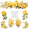 Cabbage Rose, Cabbage Roses, Rose Clipart, Roses Clipart, Floral ...