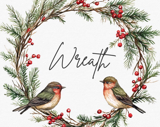 Christmas Clipart, Bird Clipart PNG, 12 Commercial Use Designs ...