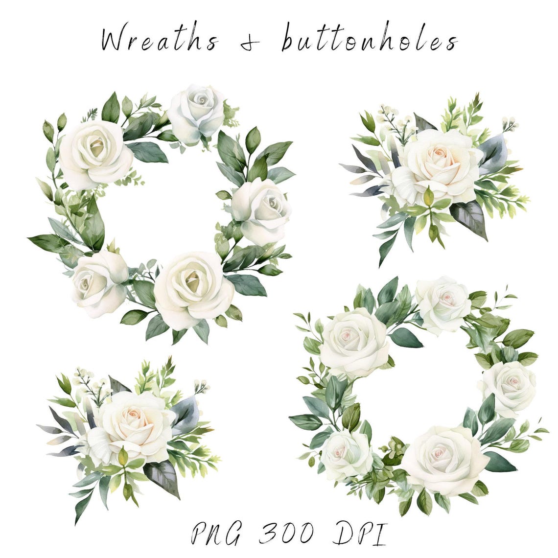Watercolor White Rose Clipart: Wedding Floral PNG (commercial Use) - Etsy
