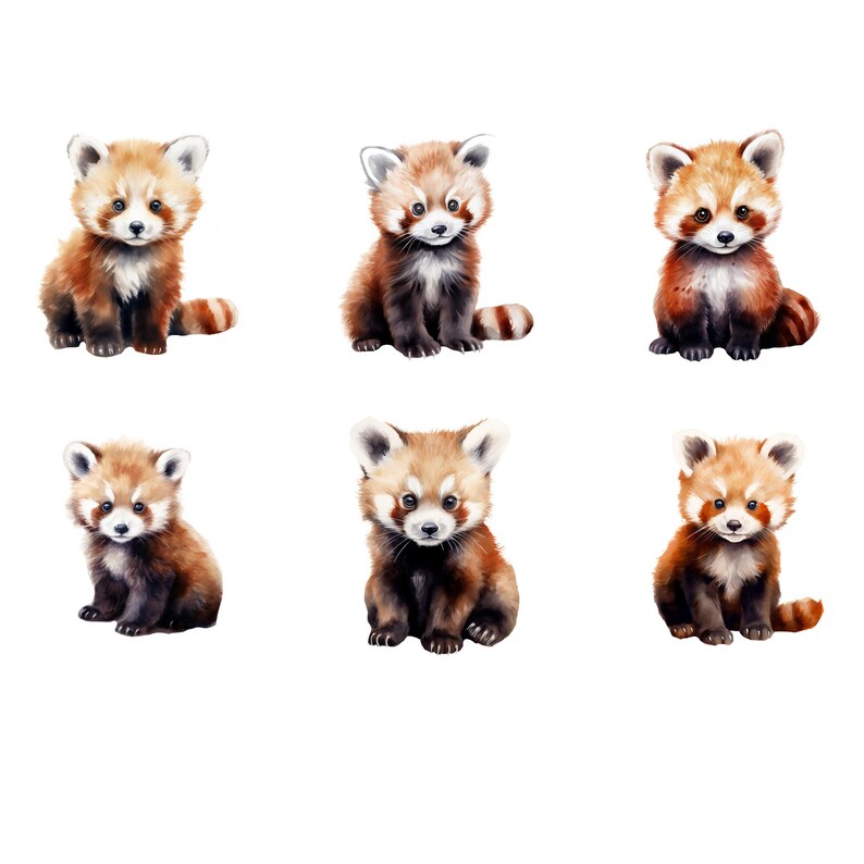 Watercolor Red Panda Clipart Cute Animal Red Panda Sticker Cute Red ...