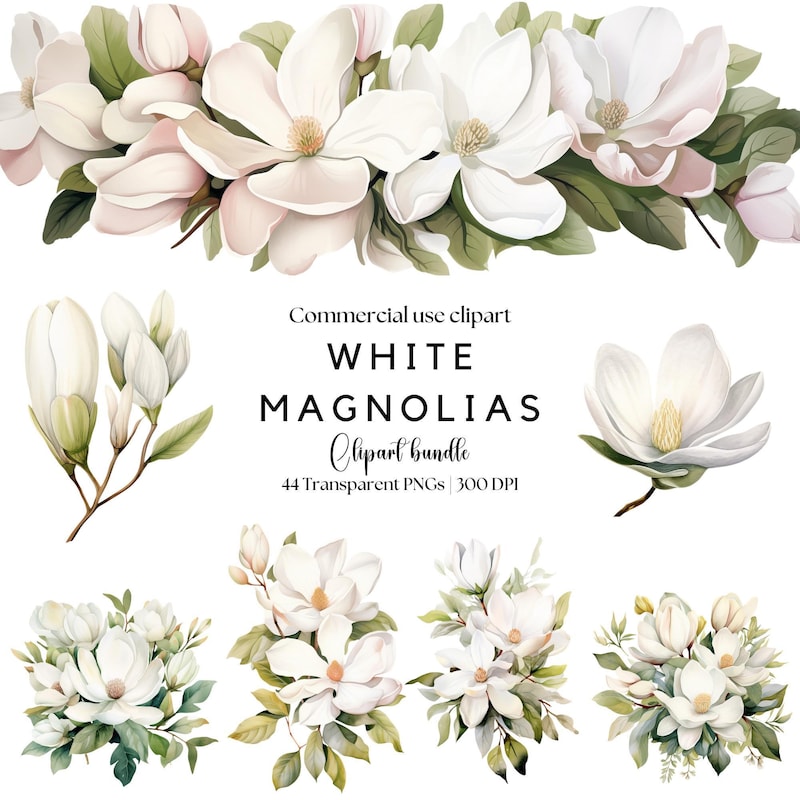 Magnolia Watercolor - Etsy
