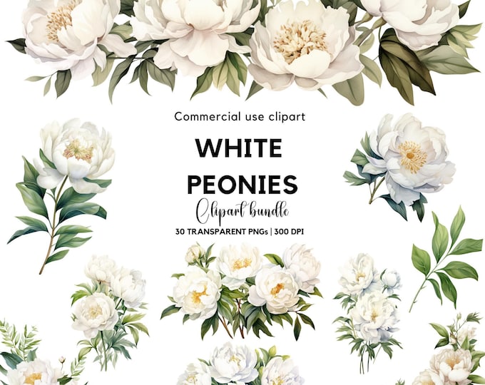 White Peony Clipart Bundle, Watercolor White Flower Clipart, Peony PNG ...