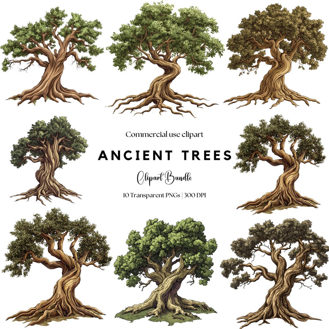 Tree With Roots Clipart | Ancient Trees | Tree of Life | Tree With ...