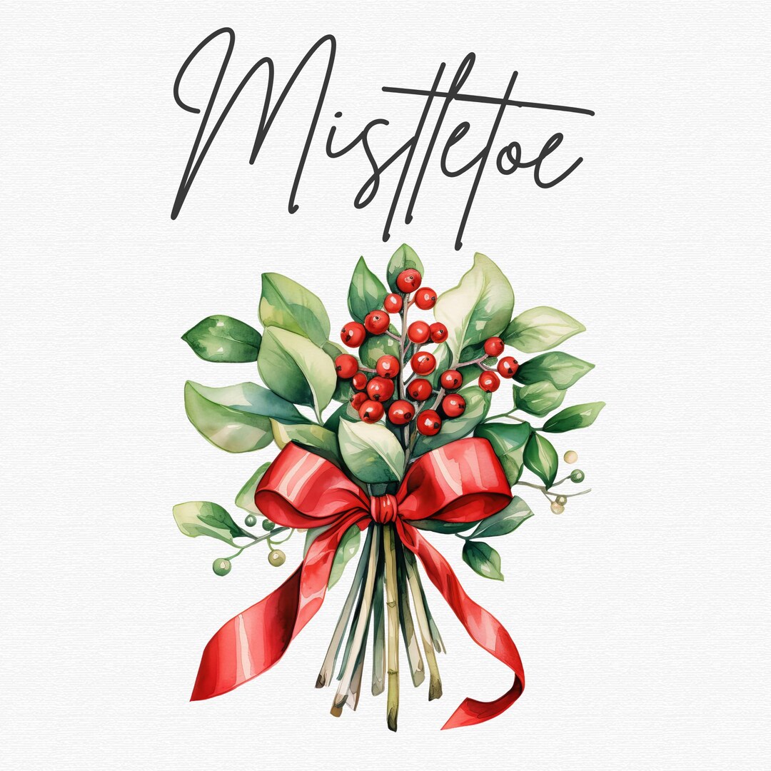 Watercolor Christmas Mistletoe Clipart Single | Mistletoe Png ...