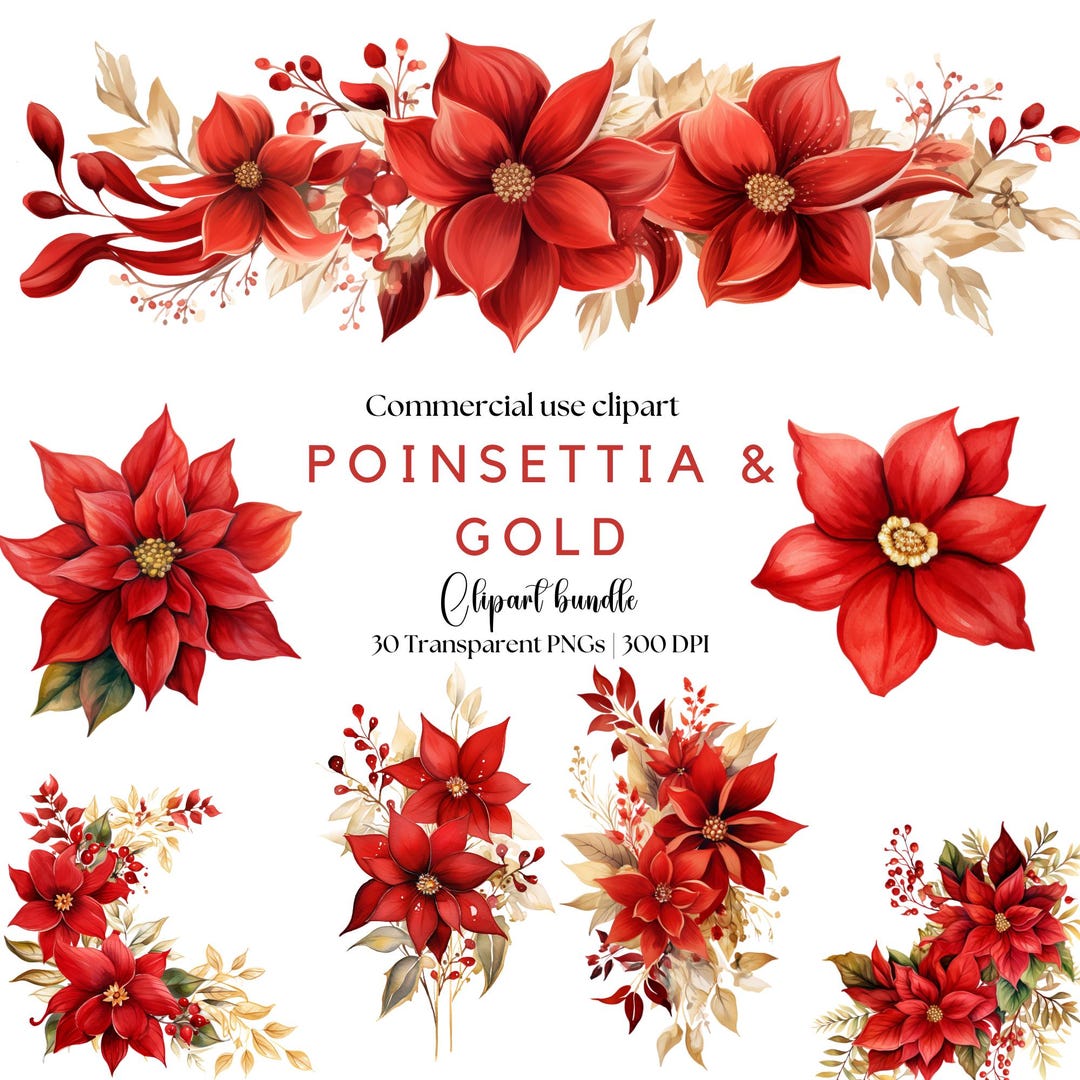 Poinsettia and Gold Floral Clipart Red Poinsettia Png Christmas Floral ...